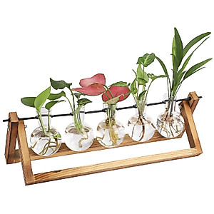 Plant Terrarium, Plant Propagation Stations with Wooden Stand, Gift for Women, Office Decoration - 5 Bulb Vase