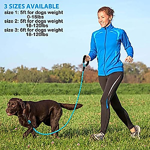 ladoogo 2 Pack 5 FT Heavy Duty Dog Leash with Comfortable Padded Handle Reflective Dog leashes for Medium Large Dogs