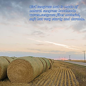 kathson Bird Seagrass Mat,Birds Swing Toy,Natural Grass Handmade Woven Hammock Hanging Parrot Lounger with Colour Toys for Lovebird,Cockatiel,Canary,Parakeets,Finch,Budgie (2 Pcs)