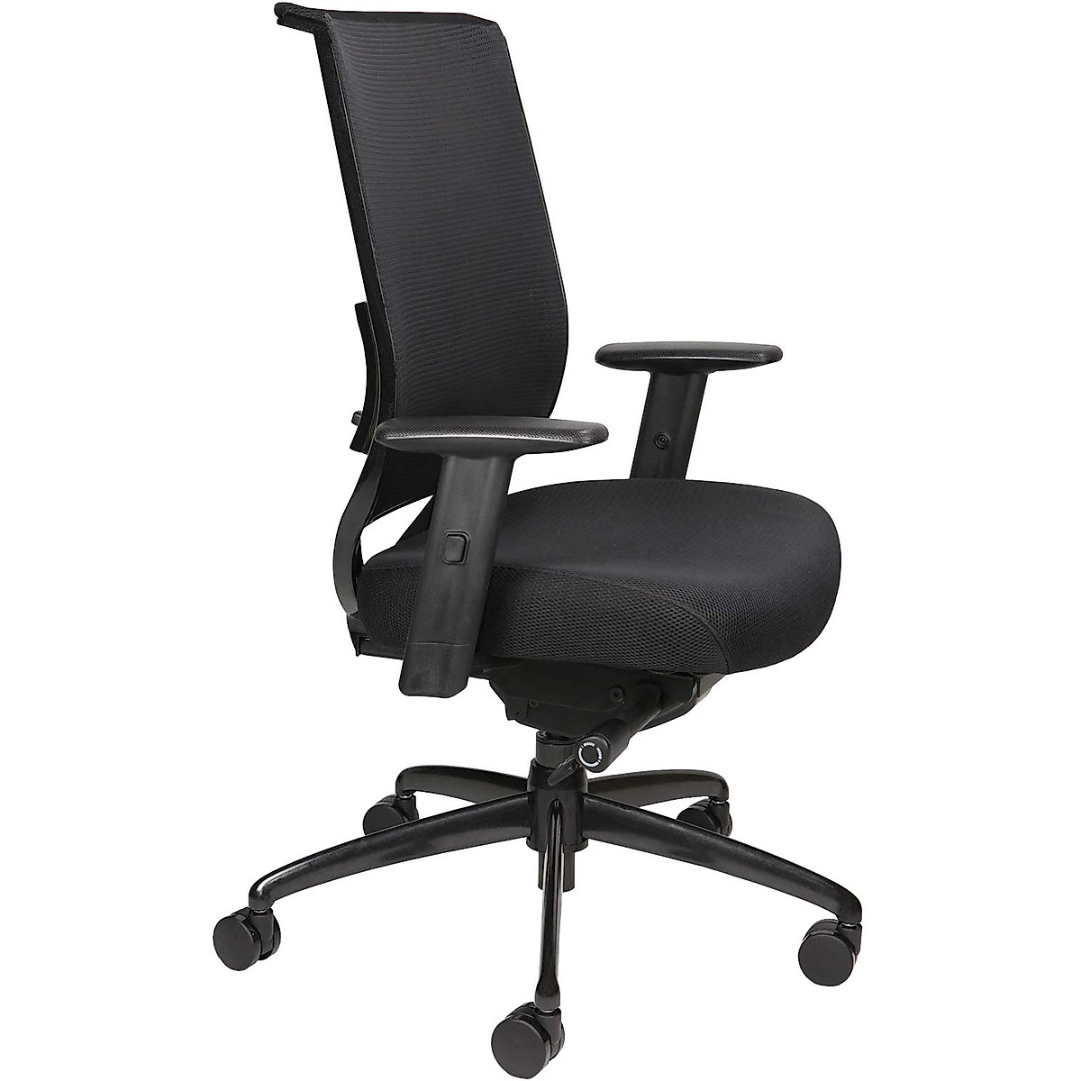 Oak Hollow Furniture Reina Series Office Chair Ergonomic Executive Computer Chair with Breathable Fabric Seat Cushion and Mesh Back, Adjustable and Comfortable, Lumbar Support, Swivel and Tilt