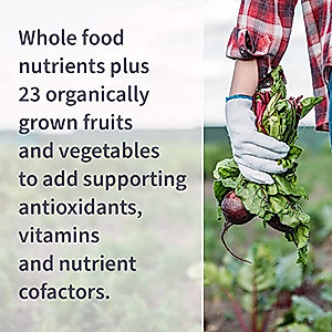 Garden of Life Multivitamin for Women, Vitamin Code Women's Multi, Whole Food, Vitamins, Iron, Folate not Folic Acid, Probiotics, Vegetarian Supplements for Womens Energy, 240 Count