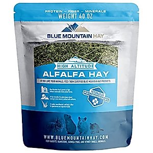 Blue Mountain Hay | 15 oz. Fresh Alfalfa Hay | Available in 15 oz. & 40 oz. Pouches | Nutritious, Delicious Meal Or Snack for Rabbits, Guinea Pigs, Hamsters, Gerbils, Rats, and Other Small Pets