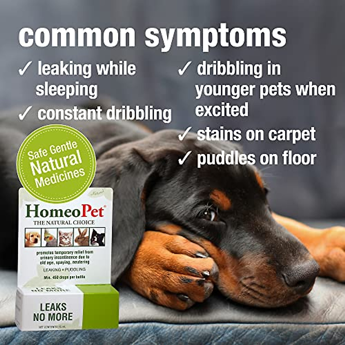 HomeoPet Leaks No More, Urinary Incontinence Relief for Pets, 15 Milliliters