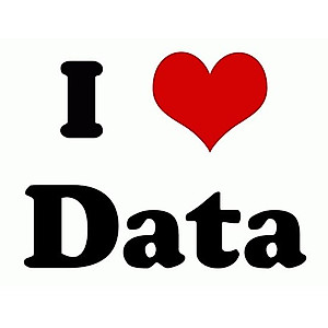 CafePress I Love Data Mug Ceramic Coffee Mug, Tea Cup 11 oz