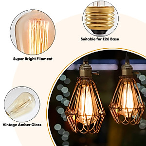 60 Watt Incandescent Edison Light Bulbs, Vintage Dimmable E26 Bulbs, ST64 2200K Warm White Antique 260LM E26 Medium Screw Base Amber Filament Bulbs for Home, Bedroom, Office, Decorative Lamp(4-Pack)