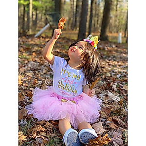 2nd Birthday Outfit Girls Two Year Old Birthday Shirt with Skirt (Pink 2nd,2 T)