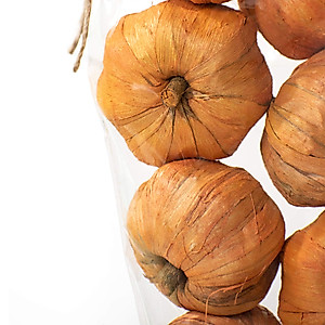 Natural Vase Fillers Mini Pumpkins for Decorating & Crafts | Miniature Pumpkins Home Decor (Mini Pumpkins)