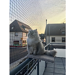 AIYGO Cat Netting Balcony Pet Mesh Fence for Balcony Black Nylon Balcony Netting for Pets Anti-Fall Cat Net for Balcony and Windows（10 * 20ft）