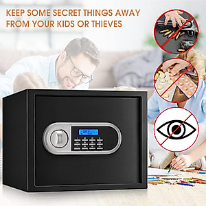 1.0 Cubic Feet Home Safe Fireproof Waterproof, Digital Home Security Safe Box with Programmable Keypad and Removable Shelf, for Documents, Jewelry, Valuables, Black (9.8"W x 13.7"D x 9.8"H)