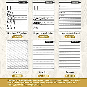 Chinco 9 Pieces Calligraphy Set for Beginners learn Caligraphy Kits, Including 8 Pieces Calligraphy Brush Pens Hand Lettering Pens and Lettering Workbook Calligraphy Book for Teen Kid Adult