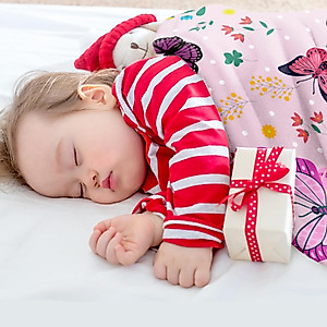 Jameswish Butterfly Throw Blanket for Girls Teens Toddler Pink Soft Fuzzy Flannel Bed Blanket for Kids Adults Plush Colorful Flowers Blanket,50”x60”