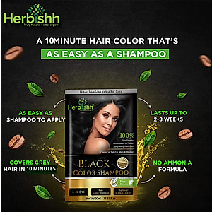 Herbishh Hair Color Shampoo Pouch/Sachte Combo Pack of Two for Gray Hair (Black) With Moroccan Argan Hair Shampoo + Hair Conditioner Kit