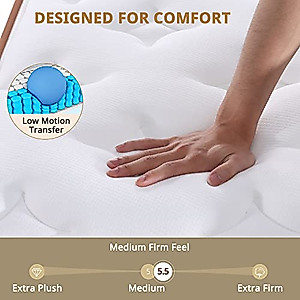 BedStory 10" Hybrid Twin Mattress in a Box, Gel Memory Foam Mattress with Pocket Spring, Medium Firm Mattress with Dual Brim Design for Supportive&Pressure Relieving&Motion Isolated Sleep, Made in USA