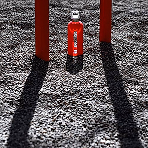 Sigg Star Water Bottle with Silicone, 29 Oz, Scarlet