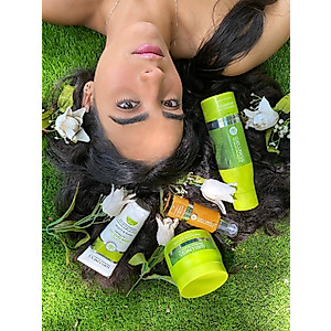 Wellness Premium Products Top 3 Sampler & Gift Box - Travel Size, Organic, Hemp Seed Oil Shampoo, Conditioner, & Treatment Mask for Strong, Healthy Hair - 3 x 1.7oz