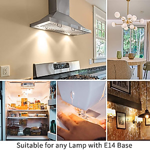 LAOYEBAOHE E14 Cooker Hood Bulbs European Base,Range Hood Light Bulbs AC110V-130V for Refrigerator Cooker Hood Sewing Machine Light (Warm White, 2-Pack)