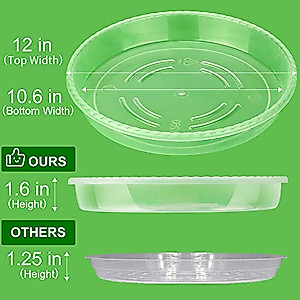 MUDEELA Plant Saucer 6 Pack of 12 inch, Durable Plastic Plant Trays for Indoors, Clear Plastic Flower Plant Pot Saucer, Made of Thicker, Stronger Plastic, with Taller Design