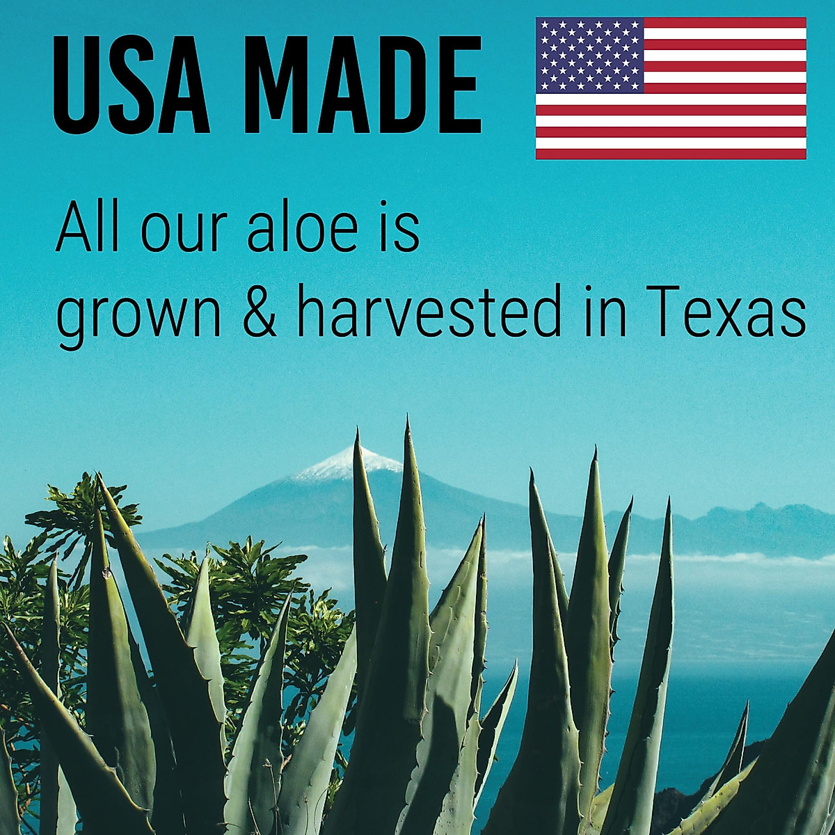 Amazing Aloe Vera Gel - Freshly Cut, 100% Pure Aloe, Premium Quality, Vegan, Unscented - Natural Sunburn Relief, After Shave, Skin, Face & Hair Care 8oz