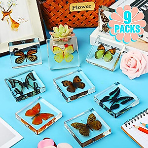 9 Pieces Real Butterfly Specimens Set Resin Butterfly Paperweight Square Framed Butterfly Taxidermy Butterfly Specimen Collection Display for Home Office School Science Education Toys 3 x 3 x 0.6 Inch