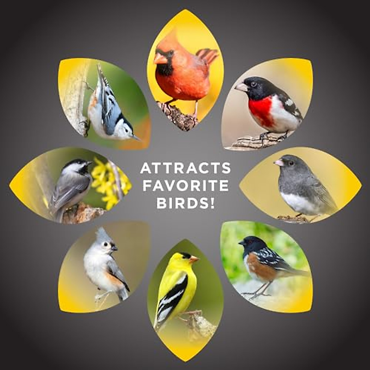 Audubon Park 12225 Premium Blend Wild Bird Food, 5-Pounds, 80 Fl Oz (Pack of 1)