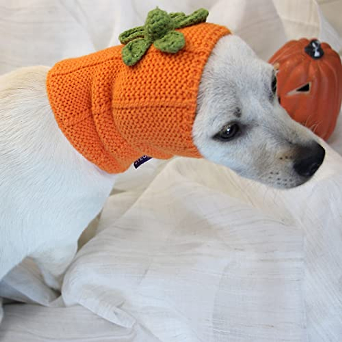 cyeollo Dog Pumpkin Costume Funny Dog Snood Knitted No Flap Ear Wrap Hood for Pets Small Dog Halloween Costumes