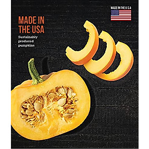 Wholesome Pride Natural & Healthy Pumpkin Highly Digestible Dog Chews, Large - 2 Pack