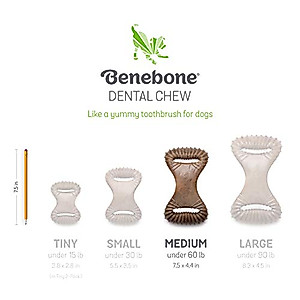 Benebone Dental Durable Dog Chew Toy for Aggressive Chewers, Real Bacon, Made in USA, Medium