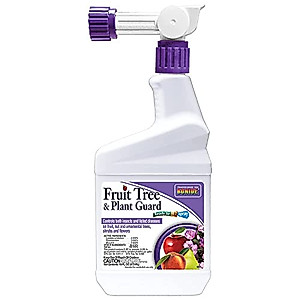 Bonide Fruit Tree & Plant Guard, 16 oz Ready-to-Spray Insect & Disease Control for Trees, Shrubs and Flowers