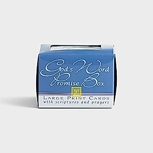 DaySpring - God's Word Promise Box: Prayers and Promises (King James Version) - Large Print Cards with Scriptures and Prayers (T9656) 3 3/4" x 2 1/2" x 2 3/4"