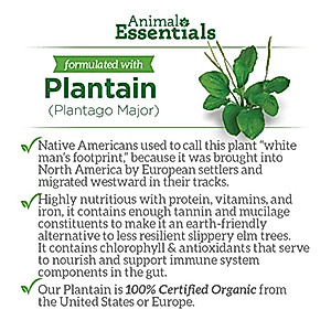 Animal Essentials Colon Rescue Herbal GI Support for Dogs & Cats, 2 fl oz - Made in USA Digestive Aid, Phytomucil Blend