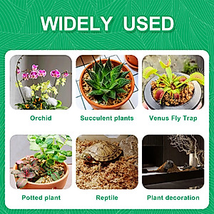 Mostopiaryart Sphagnum Moss Perfect for Plant Propagation, Extremely Strong Water Absorption Ability, Help with Maintain Humidity(3.5OZ)