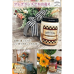 Candleberry Candles | Coconut Island Candle | Best Candles on The Market | Hand Poured in The USA | Highly Scented & Long Lasting | Large Jar 26 oz.