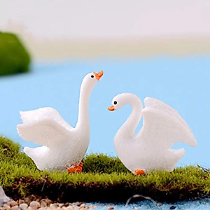 HEALLILY 2pcs Miniature Swan Resin Swan Statue White Swan Figurine Swan Couple Decor Elegant Swan Gift Cake Topper for Fairy Garden Micro Landscape