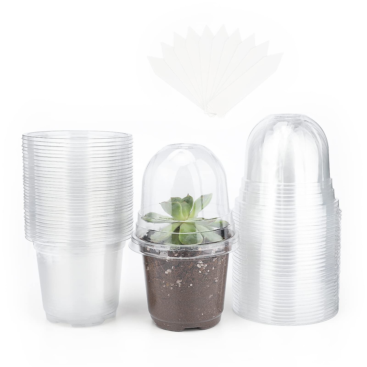 KINGLAKE 32 Pcs 4" Clear Plastic Plants Nursery Pots with Humidity Dome Seedlings Flower Plant Container Seed Starting Pots with 10 Pcs Plant Labels