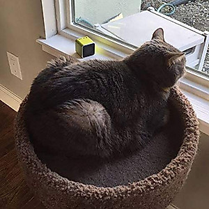 Pet Acoustics Feline Extra Calm Music SD Card