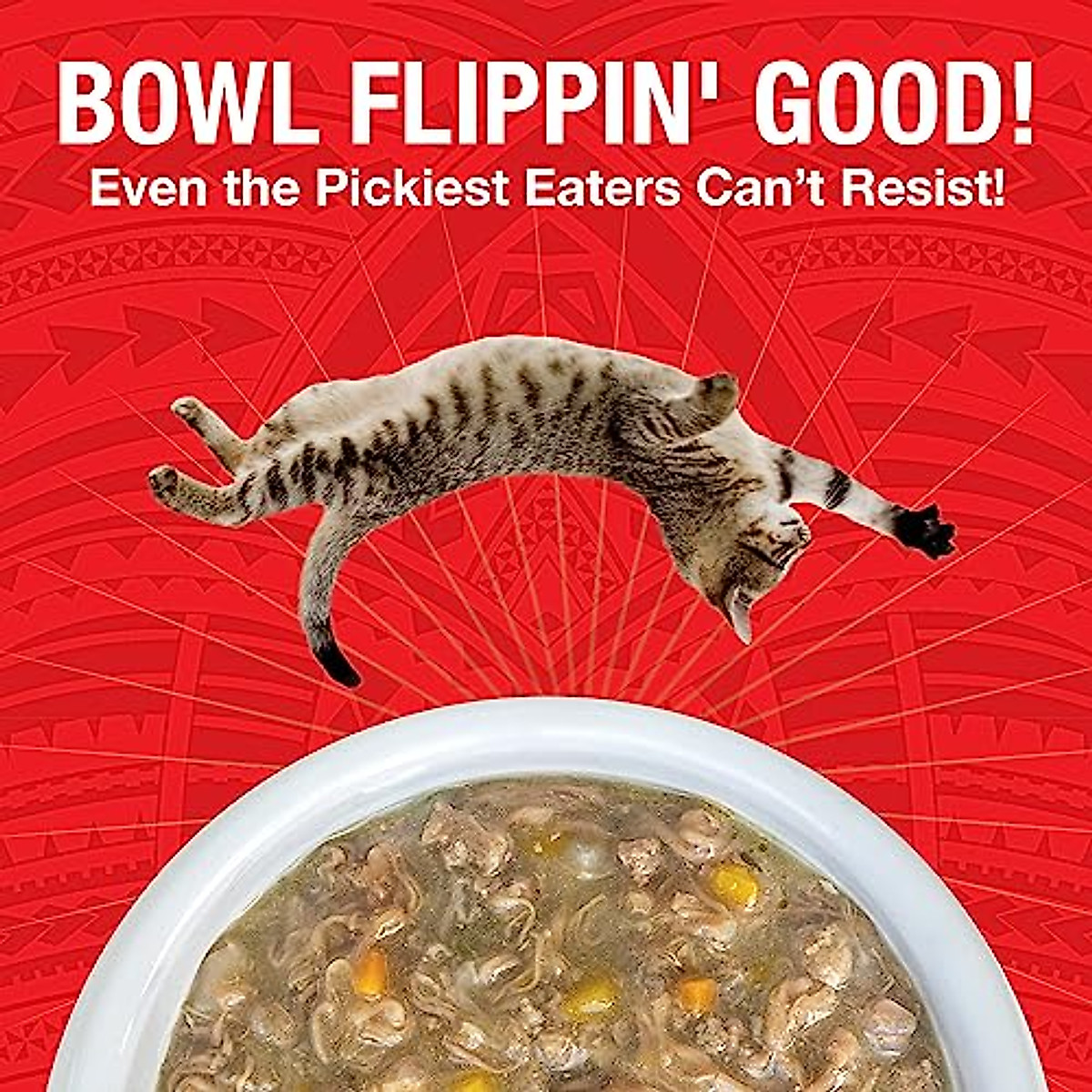 KOHA Pure Shreds Beef Entrée for Cats, Single Meat High Protein Wet Cat Food, 5.5oz Cans (Pack of 12)