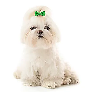 The Thoughtful Brand 50 Pcs Dog Bows with Rubber Bands (25 Pairs) - Durable Dog Hair Bows That Won’t Pull Your Dog’s Hair - Premium Dog Bows Girl Plus Bonus Grooming Comb, Cuter and better