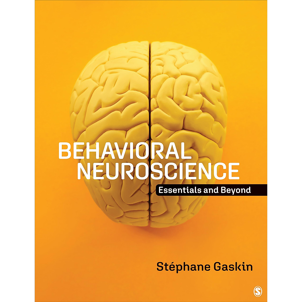 Behavioral Neuroscience: Essentials and Beyond