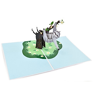 Sloth 3D Pop Up Card, Birthday Card, Lazy Day Card, Animal Lover Card, Retirement Card, Kids Party Card
