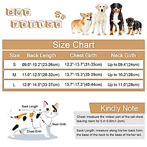 Due Felice Cat Surgery Recovery Suit Cats Surgical Onesie After Surgery Female Male Cat Post Spay Neuter Bodysuit Anti-Licking Wounds Cat Cone Alternative Yellow Bee/L