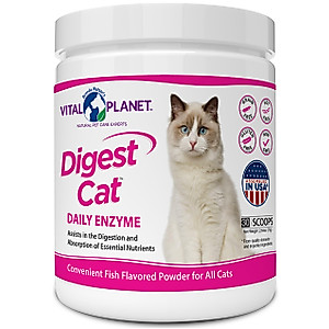Vital Planet - Digest Cat Digestive Pancreatic Enzyme Blend with Pumpkin and Ginger to Support the Pancreas and Healthy Digestion with Pancreatin, Salmon Flavored Powder for Cats - 111 Grams 30 Scoops