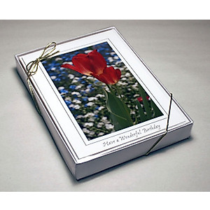 Photographer's Edge Cleartop Greeting Card Box, For 5" x 7" (A-7) Cards, Qty 50