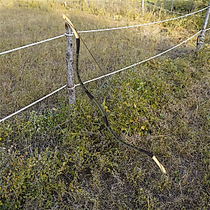 AF Archery Turkish Recurve Bow, 53" Traditional Horse Bow, Mounted Archery and Precision Shooting,Suitable for Entry Into Adults Youth Beginners Enthusiasts and Hunting, 40lbs