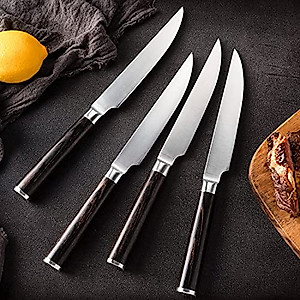 CHUZHEN Steak Knives Set of 4, Kitchen Steak Knife 5 Inch, High Carbon Stainless Steel, Non-serrated Blade, Pakkawood Handles, Dinner Knives with Gift Box