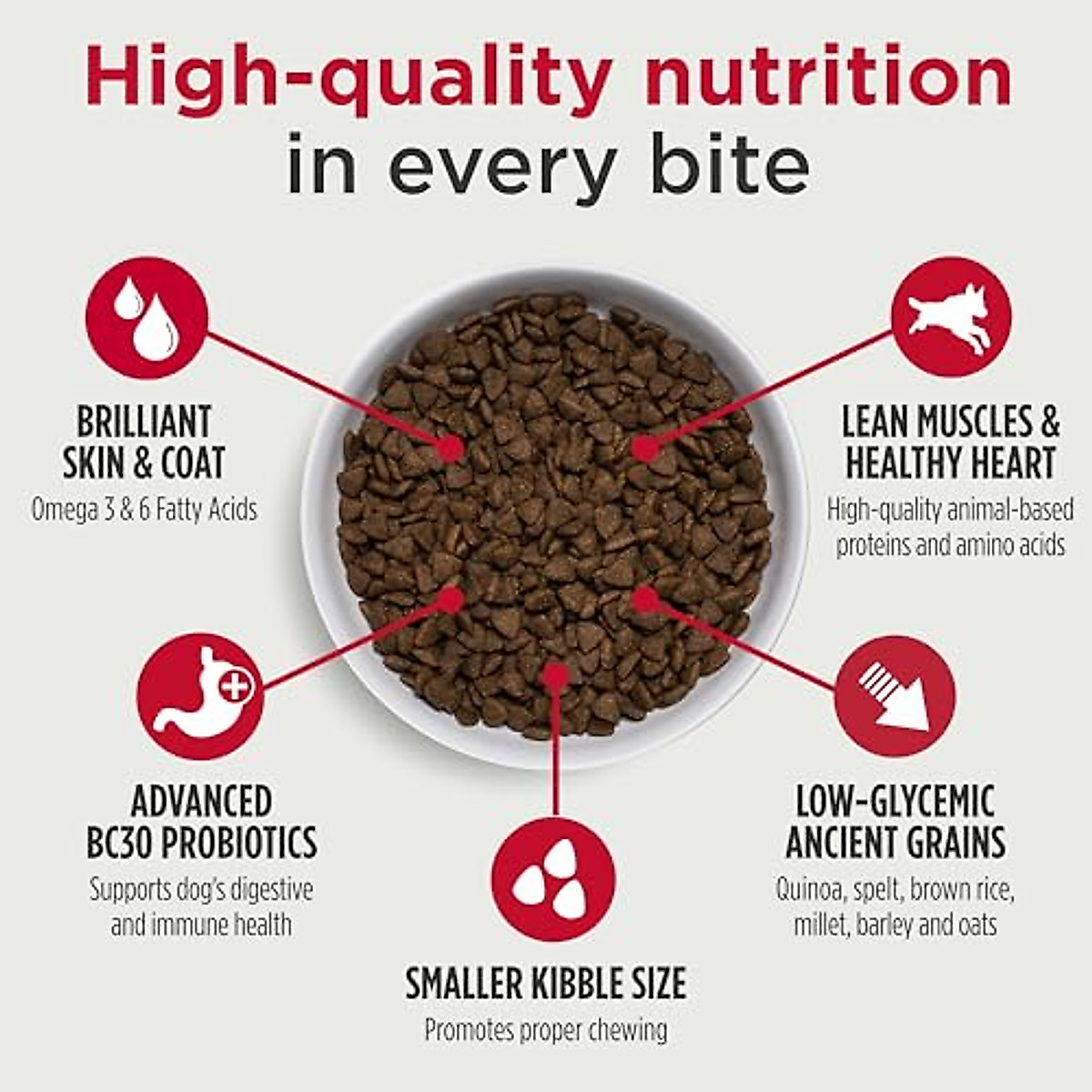 Nulo Frontrunner Small Breed Dry Dog Food, Premium Ancient Grain Small Kibble for Proper Chewing with Taurine for Heart Health and Probiotics for Digestive Support