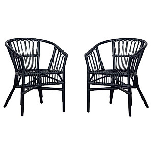 Safavieh Home Adriana Coastal Black Rattan (Set of 2) Accent Chair, 0