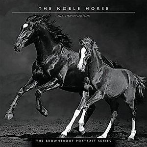 The BrownTrout Portrait Series: The Noble Horse | 2023 12 x 24 Inch Monthly Square Wall Calendar | Pets Equestrian