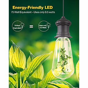 Sunco 6 Pack Vintage LED Edison Bulbs, 75W Equivalent 8.5W, 1000 LM, Dimmable ST58 Filament, 3000K Warm White, E26 Medium Base Clear Glass Light Bulbs