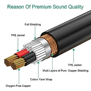 JOMLEY Mini XLR to XLR Cable, 3 Pin Mini XLR Female (TA3F) to Regular XLR Male Pro Lapel Microphone Cable - 3.3ft