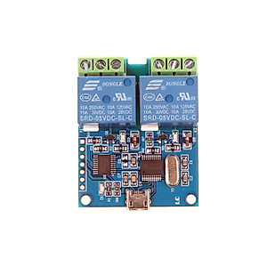 NOYITO 2-Channel Micro USB Relay Module USB Smart Control Switch USB Intelligent Control Switch (2-Channel Micro USB)